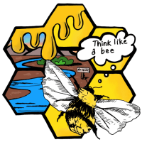 Donate – Think Like a Bee